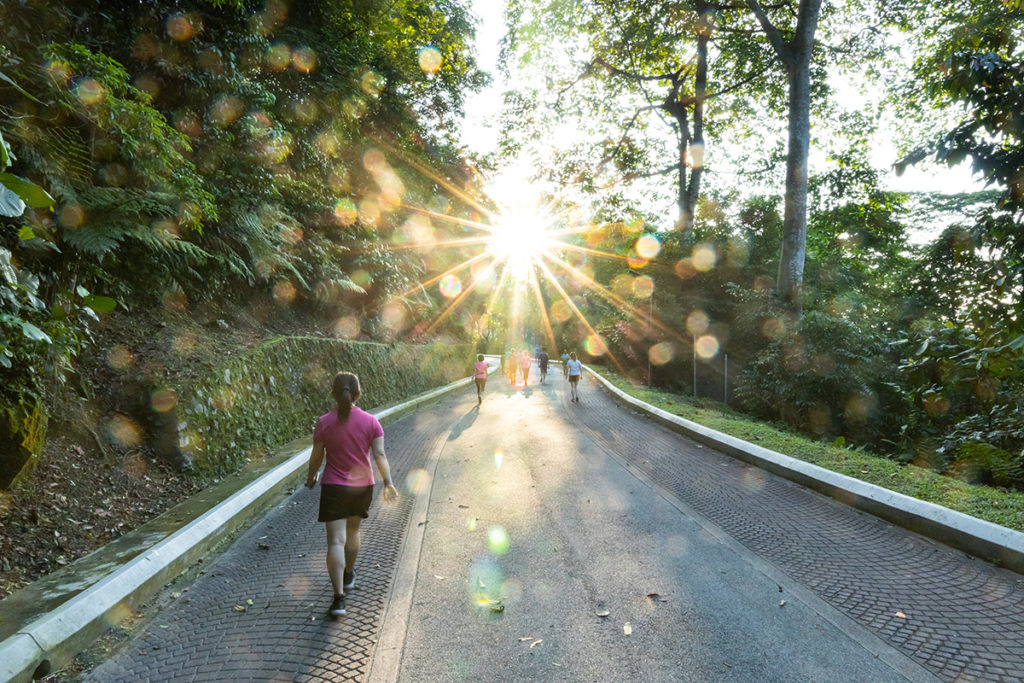 How Exercise Enhances Vitamin D Levels and How Vitamin D Enhances Your ...